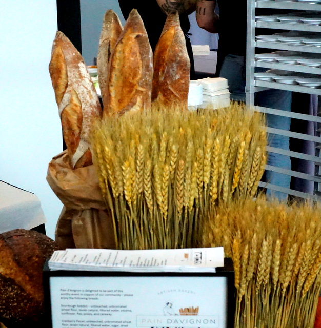 Northern Rhone Tasting NYC – SocialVino