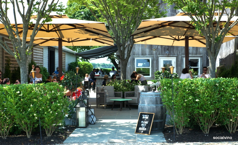 More Summer Rosé Long Island – SocialVino